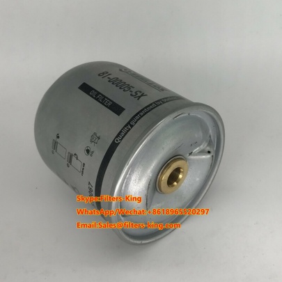 Filtro De óleo 81-00005-SX ZR904X Р550287 5010437143 CS41005 F026407060 ...